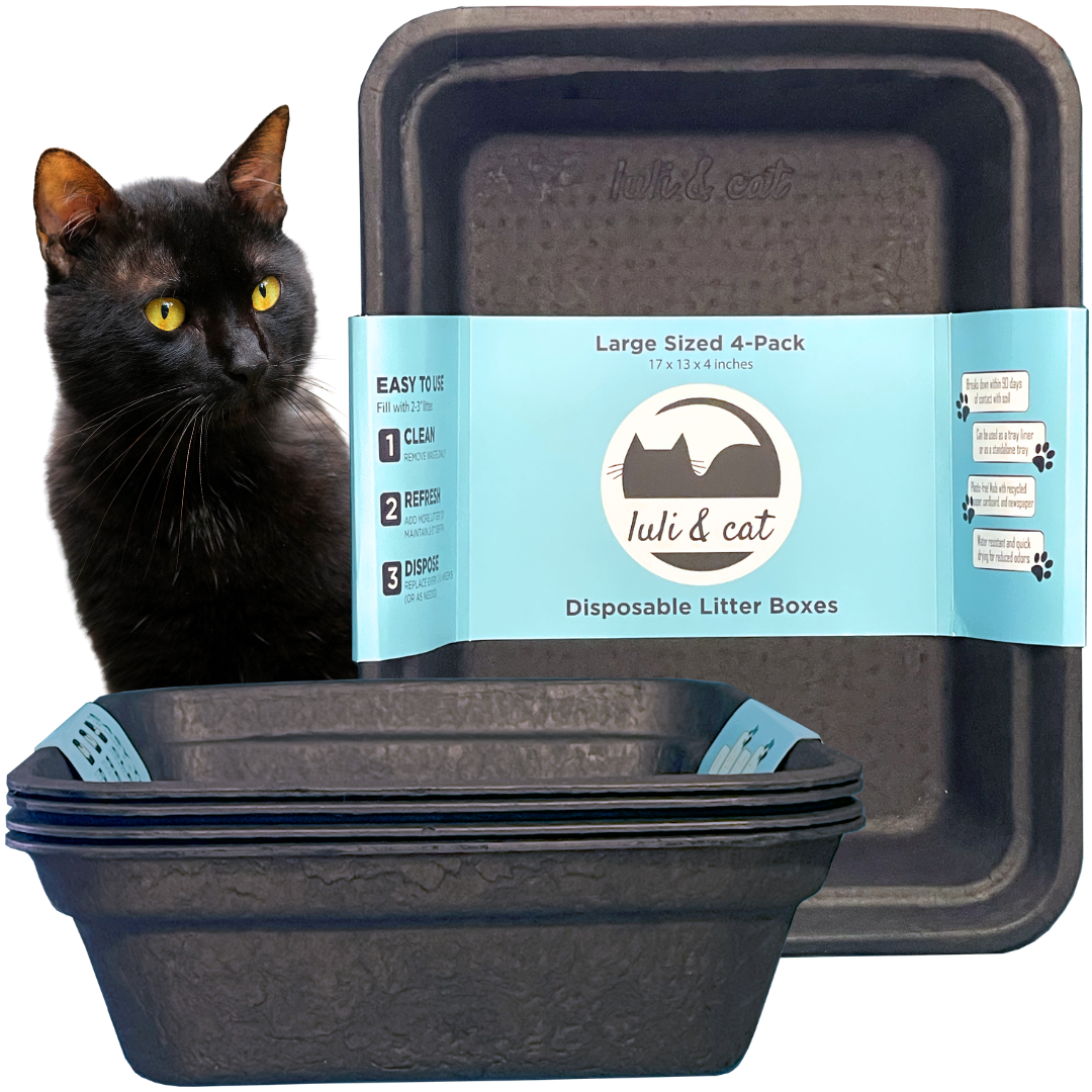 Disposable Litter Boxes - Size Large 4-Pack - Black